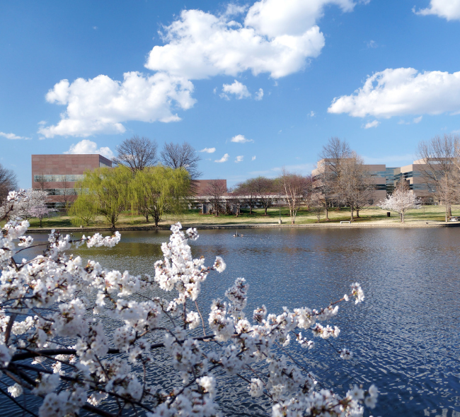 About Us | Burrell Behavioral Health